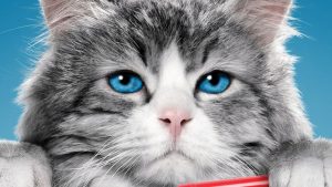 5 Film Tentang Kucing Lucu dan Imut Terbaik | KitaTV.com